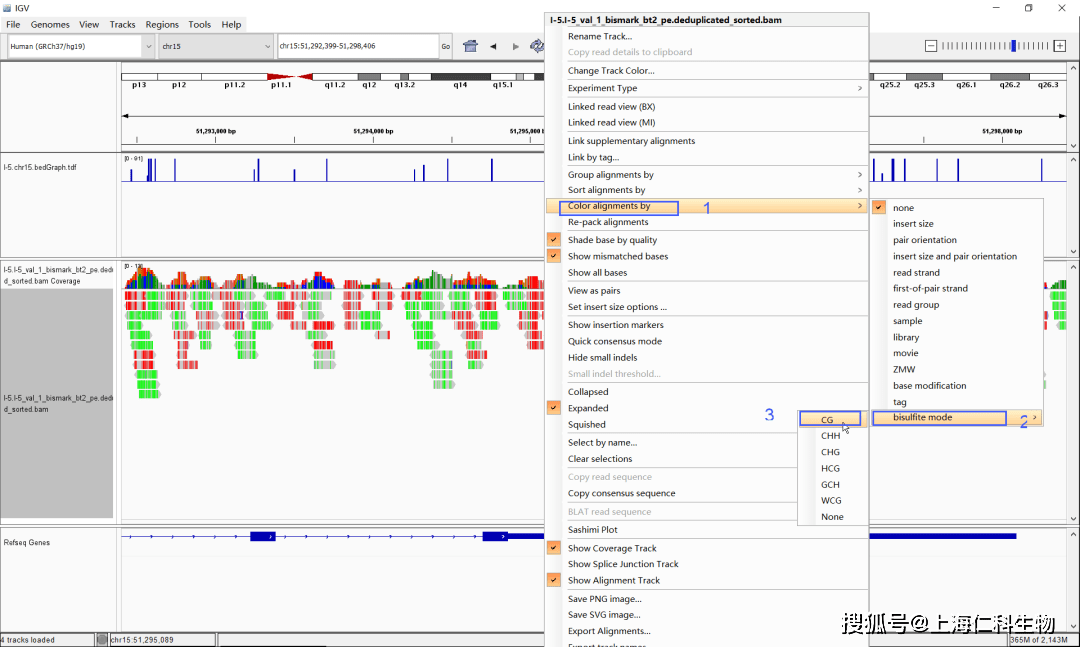 IGV快速上手指南（五）——查看甲基化数据_tdf_文件_BedGraph