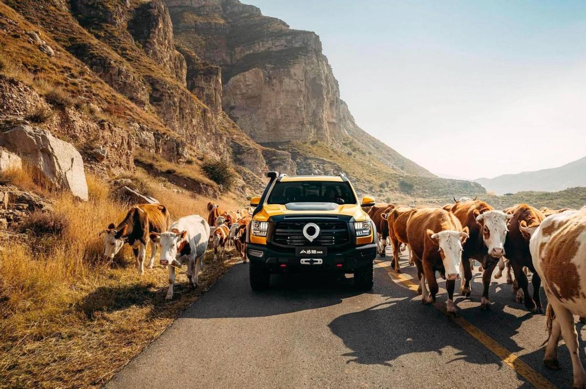 当代人买车太“挑剔”？你的需求，山海炮性能版一车搞定_搜狐汽车_搜狐网