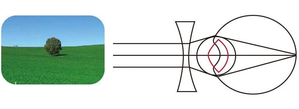 日本原装进口SIGMA镜片盛大发布！_搜狐汽车_搜狐网