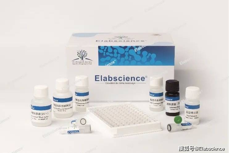 Elabscience ELISA新指标上线！靶标更全，灵敏度最高提升25倍_种属_新品_Kit
