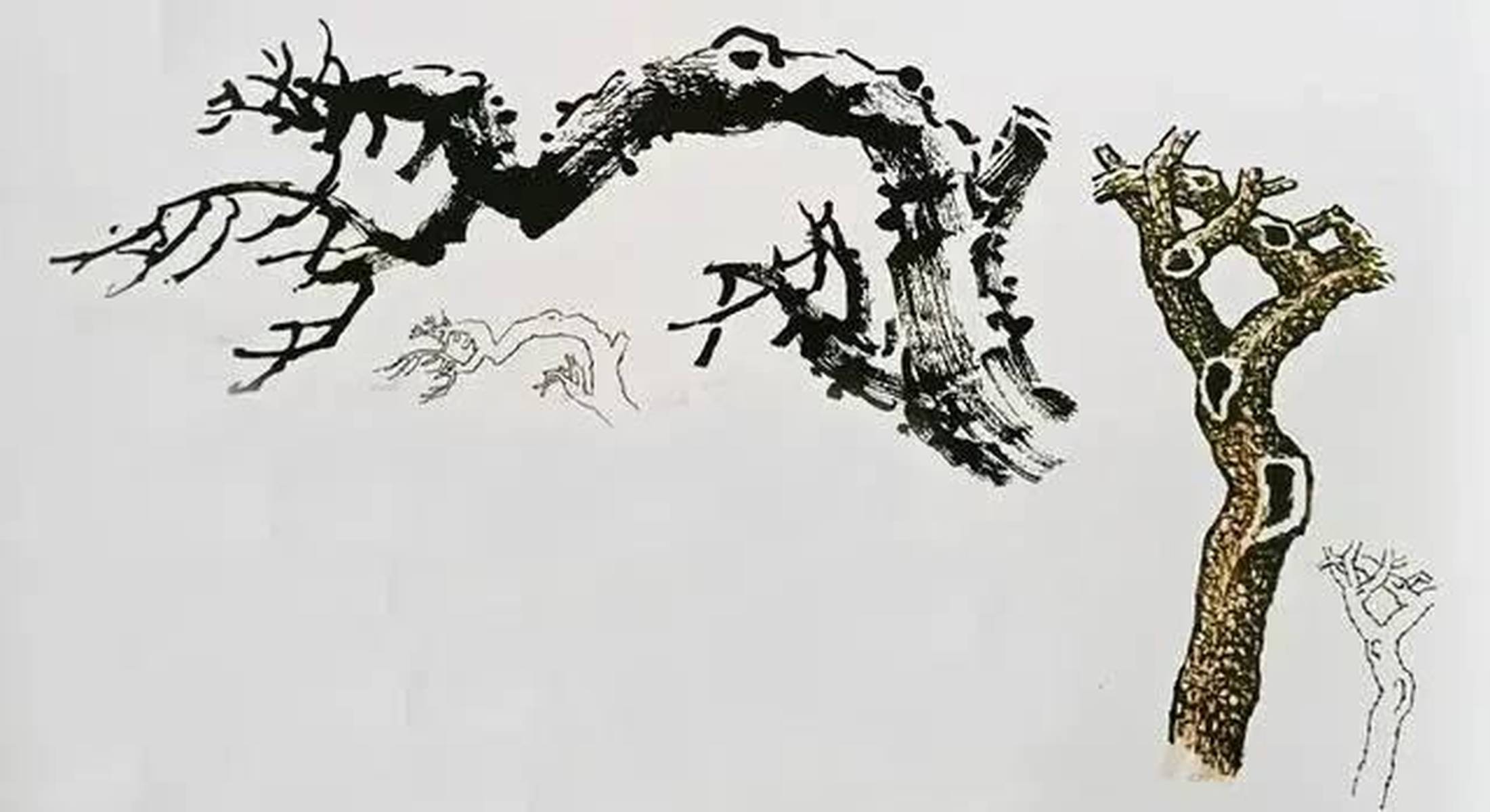 国画：松树的各种画法「图解」