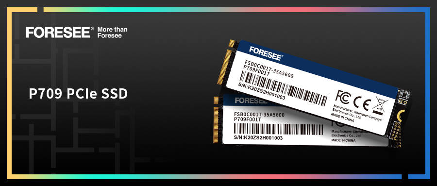 FORESEE P709 PCIe SSD双重加密功能，保障用户数据安全_Pyrite