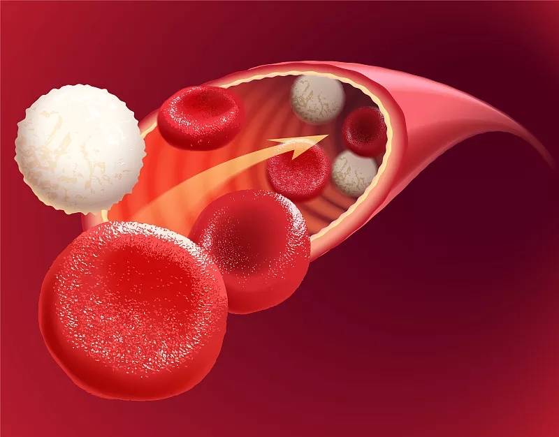 盘点：干细胞移植治疗自身免疫病的临床研究进展_auto-HSCT