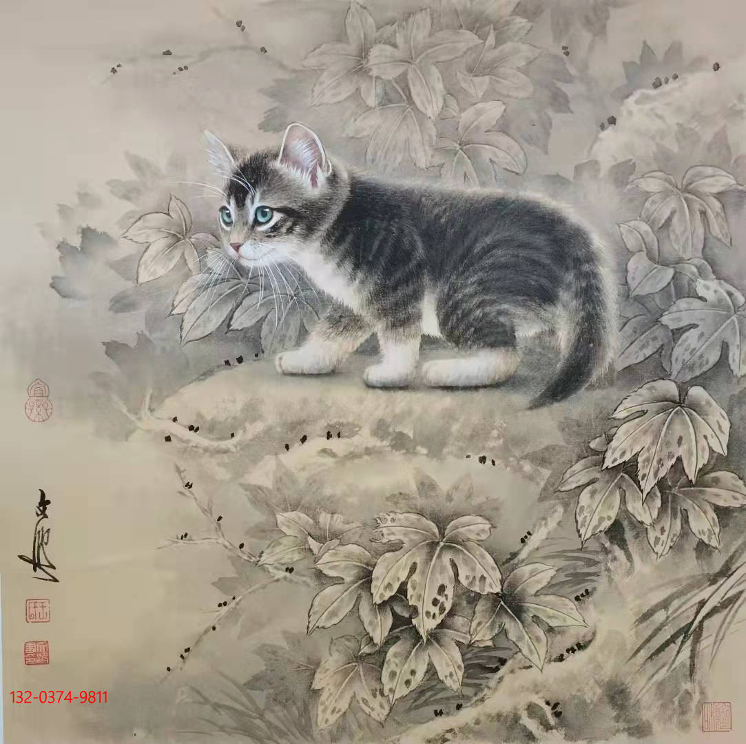 画家王文波国画猫作品集-搜狐大视野-搜狐新闻
