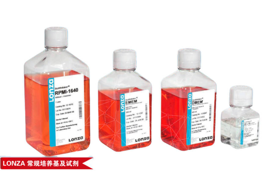 【评测】细胞培养基DMEM高糖Vs低糖区别_含量_依格尔_氨基酸