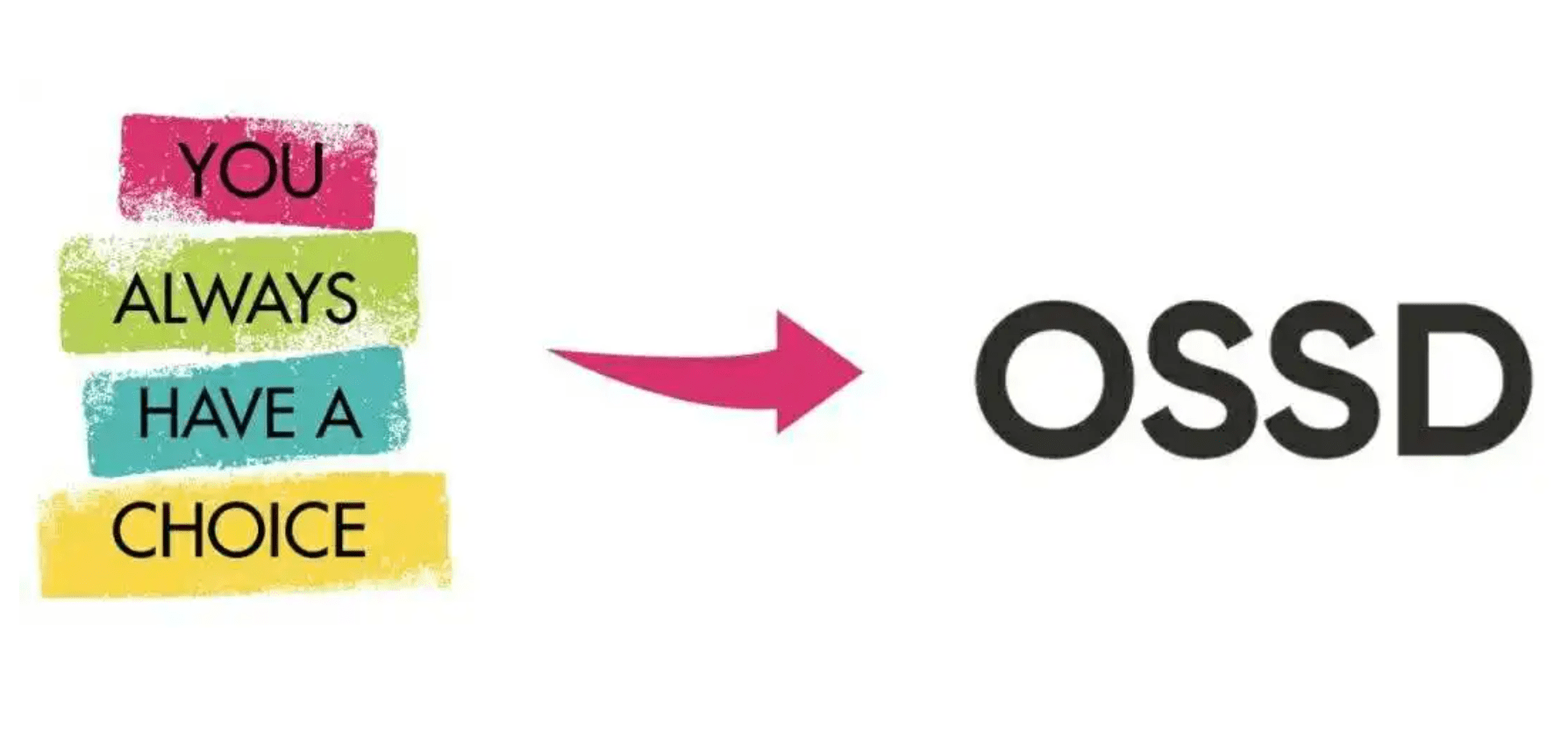 科普局来啦，什么是加拿大OSSD高中课程？_A-Level_教育_体系