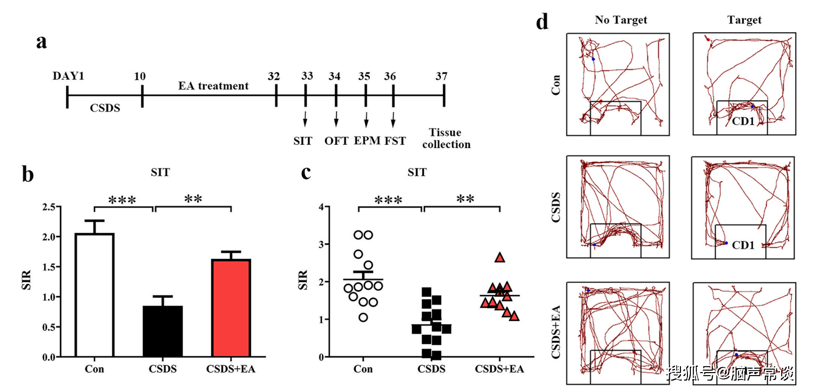 GPR55对CSDS模型小鼠海马神经炎症和成熟神经发生障碍的神经保护作用_白水平_结果显示_蛋白