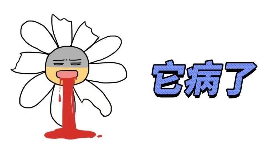 得了痔疮该怎么办?一位父亲自述的治痔疮经历儿子屁股大便