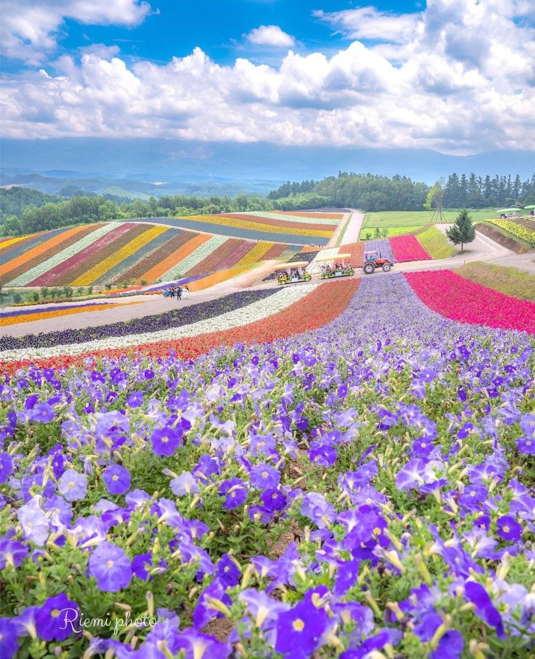 自然之美is good to it 2020. 8. 05-搜狐大视野-搜狐新闻