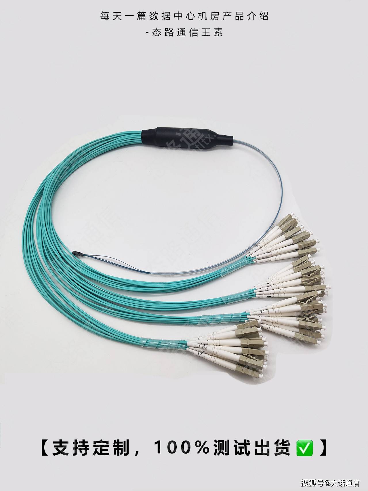 48芯MPO数据中心级光纤跳线-搜狐大视野-搜狐新闻