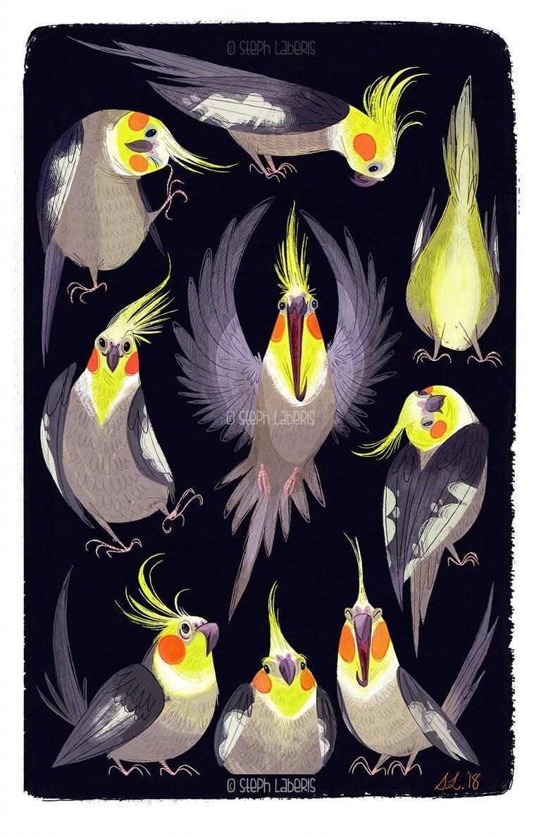 插画师 Steph-Laberis 绘画作品-搜狐大视野-搜狐新闻