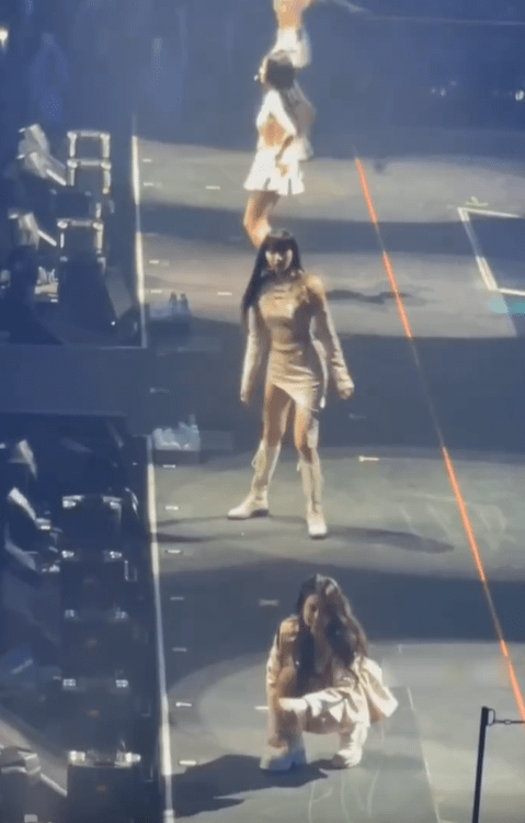 Jennie演唱会疑似脚伤复发 下台修整后又重新表演-搜狐大视野-搜狐新闻