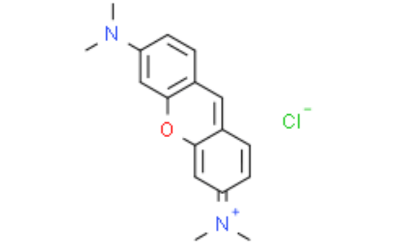 Medlife|92-32-0|派洛宁 Y|Pyronin Y，使用说明_methyl_-bis_pure