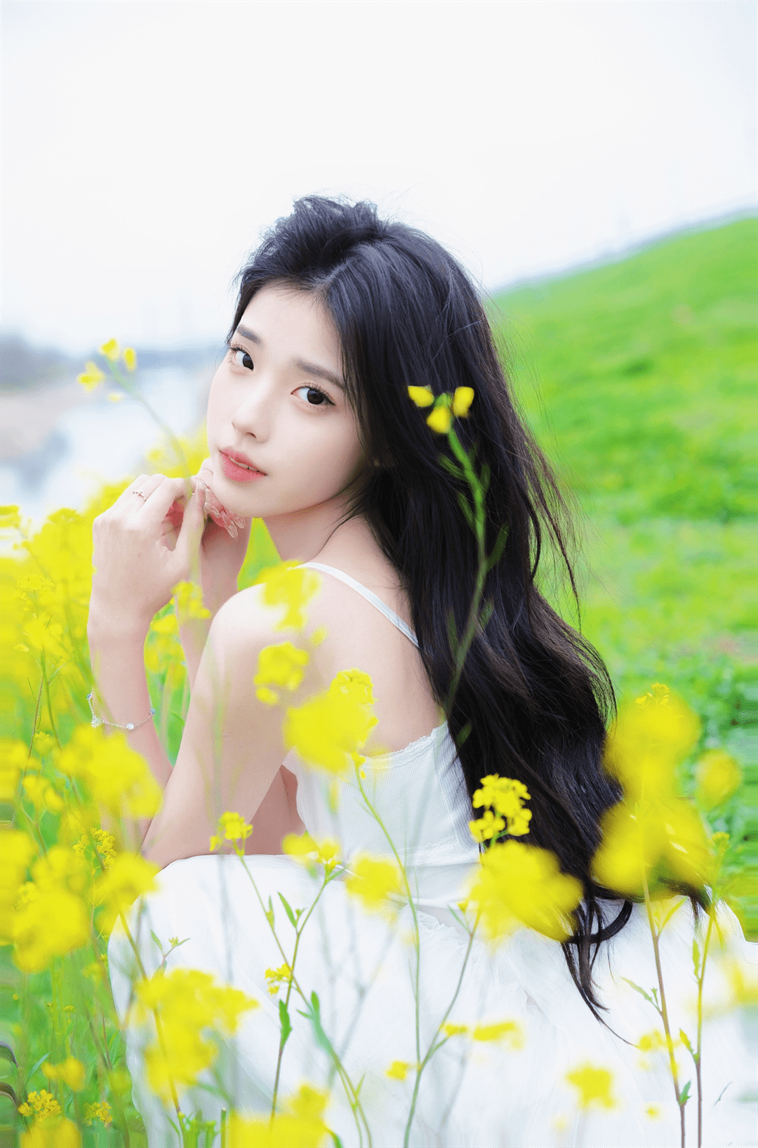 故事的小黄花 -6park.com