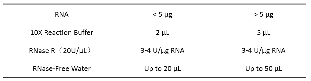 干货：RNase R使用攻略_circRNA