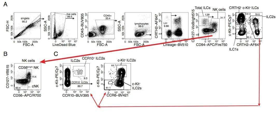 把ILC2再往下分，ILC3可能是其它ILC亚群的祖细胞_c-Kit