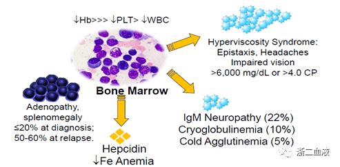 一文了解华氏巨球蛋白血症诊治进展_治疗