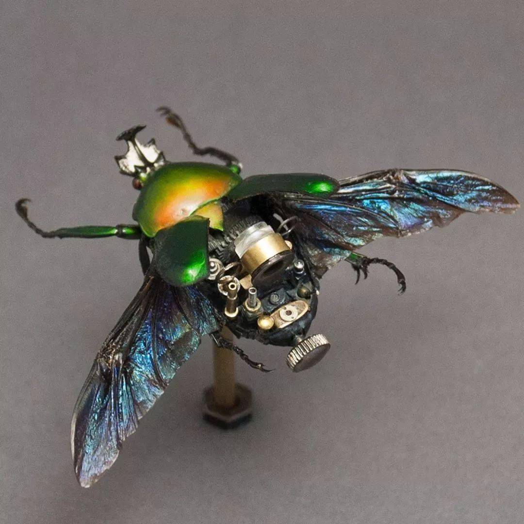 机械昆虫艺术家 Mike Libby-搜狐大视野-搜狐新闻