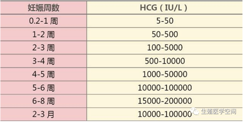 一个HCG数值就看出这么多东西？还有一点你绝对没想到！_子宫内膜