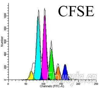 当CFSE测细胞增殖时没有多峰，仅出现单峰左移时，不要怀疑自己-搜狐大视野-搜狐新闻