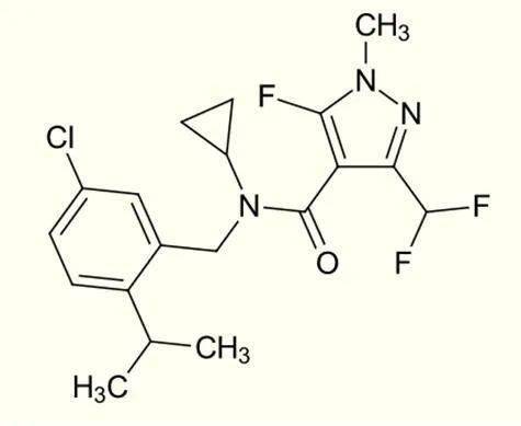 拜耳、先正达、科迪华、巴斯夫潜力新品深度解析_开发