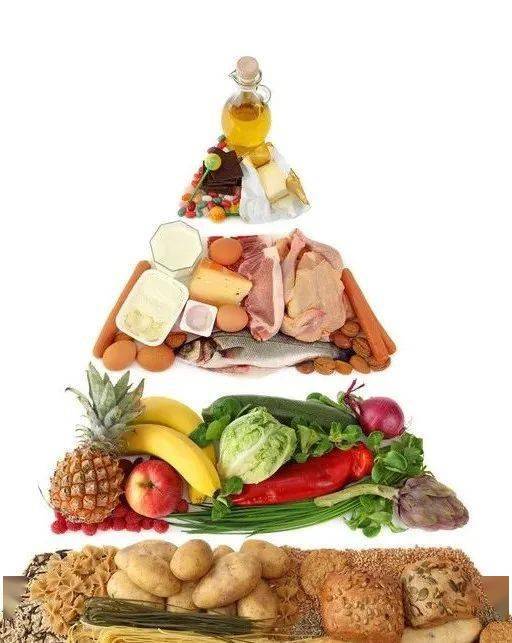 什么是特殊医学用途配方食品（FSMP）？_营养素