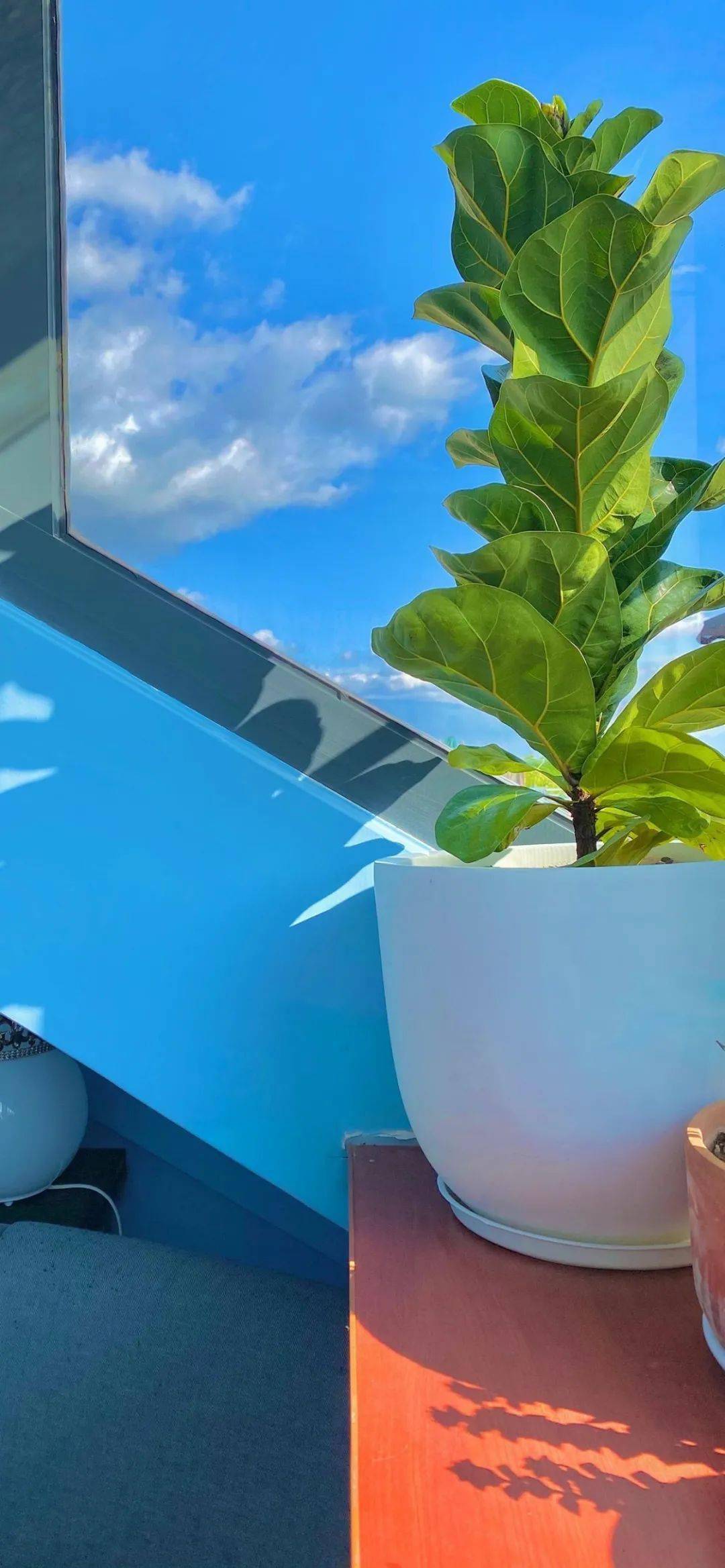 壁纸 | 换一张足够特别的手机壁纸-搜狐大视野-搜狐新闻