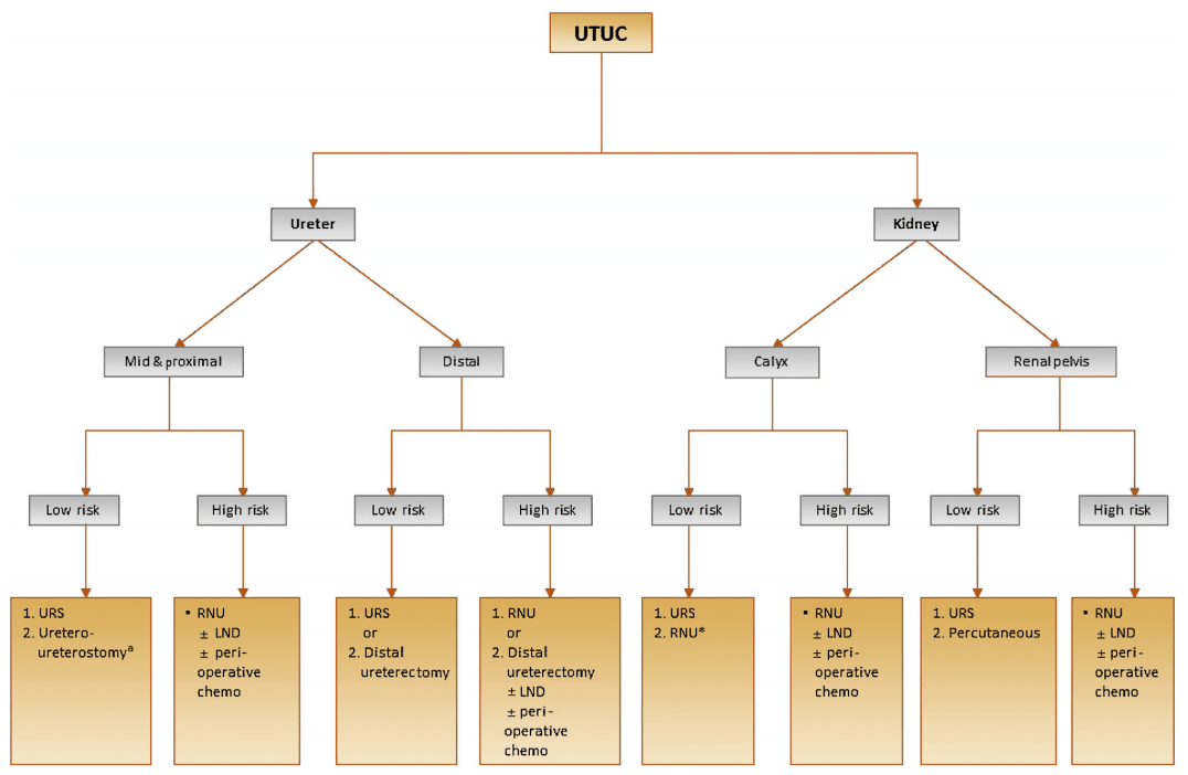 周利群教授：具有“中国特色”的UTUC临床诊治和研究丨CACA-GU 2020_患者