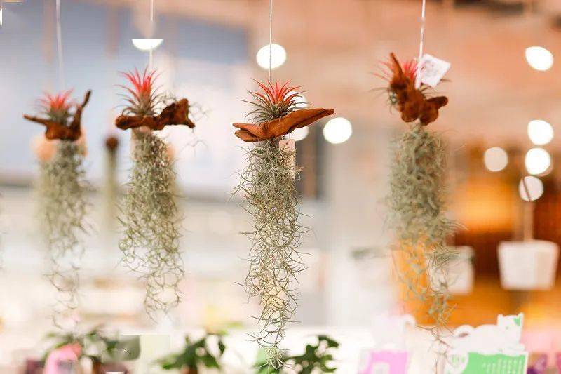 诸暨惊现“黄色世界”，里面的东西让人尖叫……-搜狐大视野-搜狐新闻