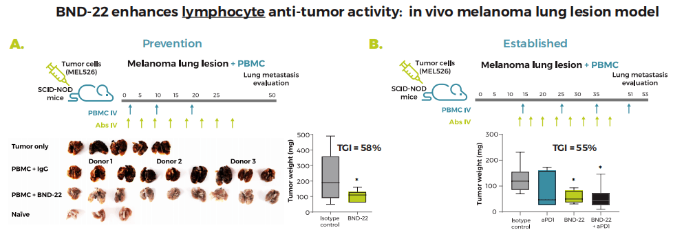 治疗实体瘤！赛诺菲1.25亿美元下注ILT2单抗，ILT2会是下一个PD-1/L1吗？丨医麦猛爆料_Biond