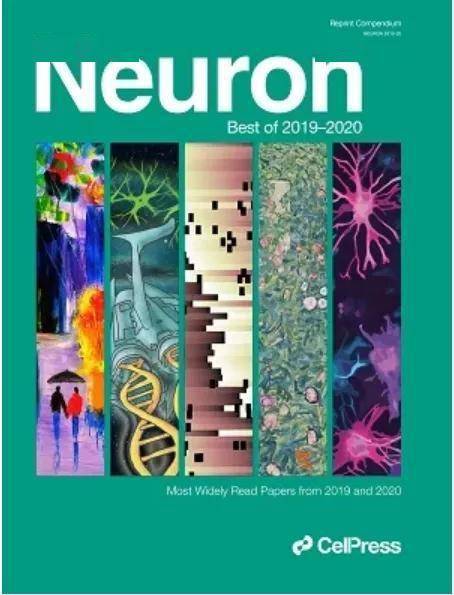 Neuron特刊：2019-2020年度最佳论文_Cell
