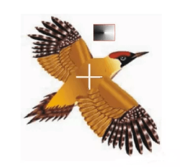 行为视光学诊所必备利器-VTS4_训练