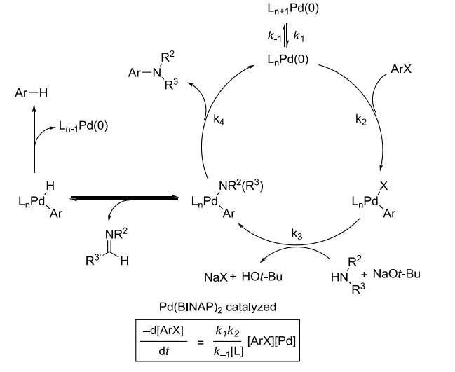 Buchwald-Hartwig反应_t-BuOK