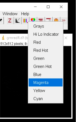 老司机带你使用ImageJ高效分析图片_tools