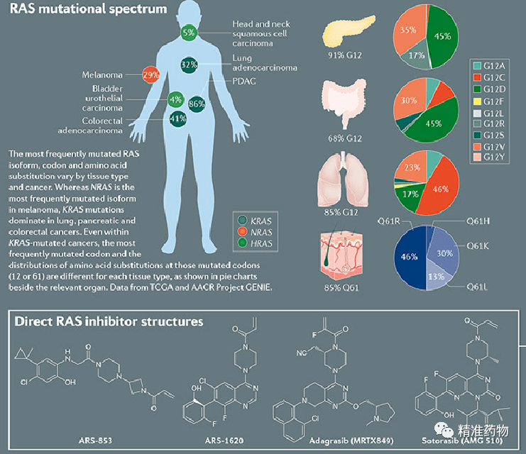 【Nature子刊】靶向RAS疗法的最新进展_Drugs