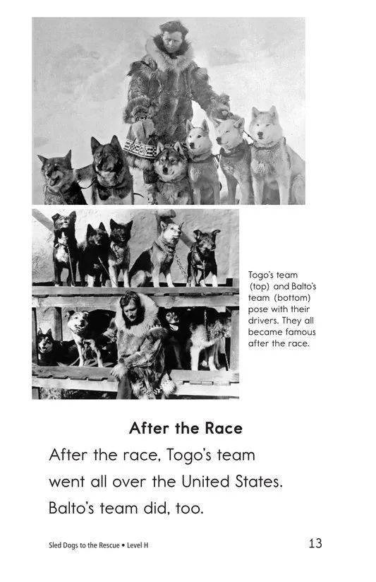 【RAZ-H-31】Sled Dogs to the Rescue_Level