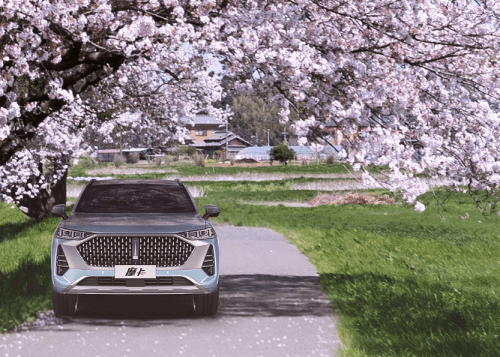 WEY摩卡轻混定调高端 油耗傲视群雄 奥迪Q5L：我究竟差在哪？_搜狐汽车_搜狐网