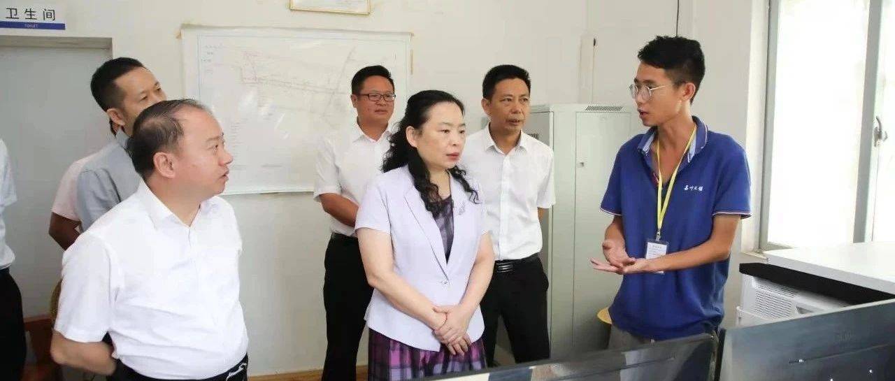 袁古洁督导污染防治攻坚工作：攻坚克难、真抓实干，以最坚决的态度最有力的措施边督边改茂名 