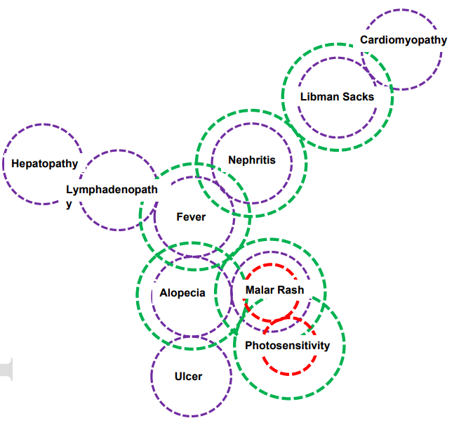 诊断SLE哪家强？还得看2019 EULAR/ACR标准_分类