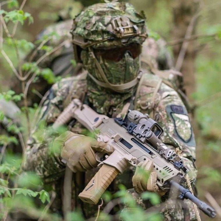 【HK 433图集】印象中它刚刚推出的时候确实招人眼球_火器