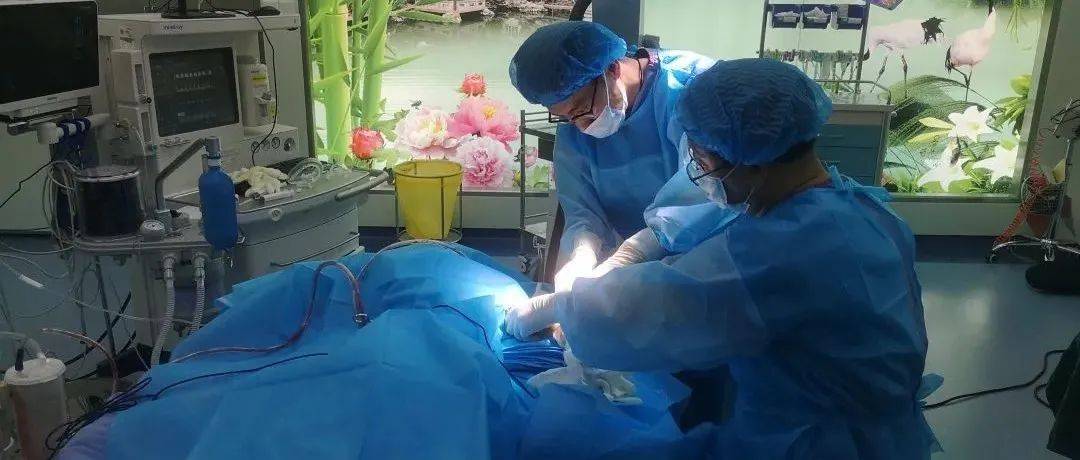 两千里求医路 医患同心共筑信任之墙——淄博市妇幼保健院小儿骨科临床工作纪实小美