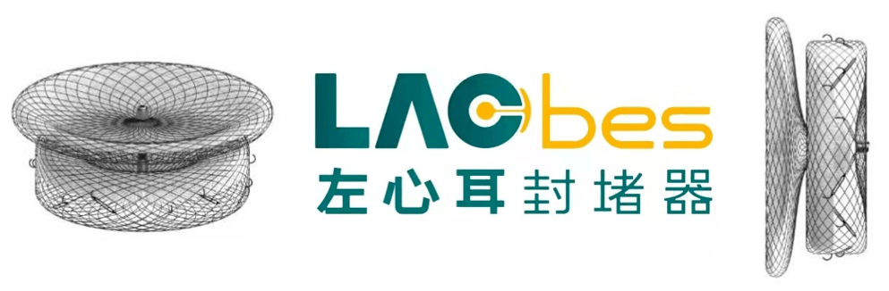 及所不及，能所不能｜LACbes成功助力西安交通大学第一附属医院一站式手术_左心