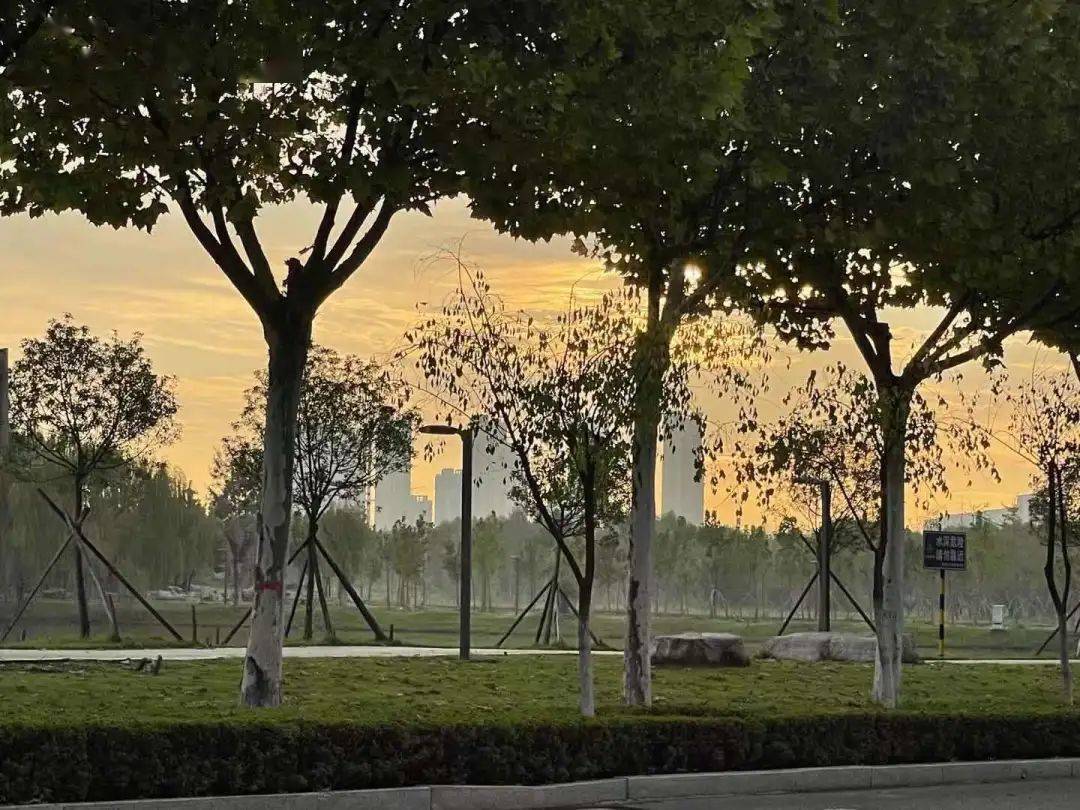 跑早操萌新们要跑早操啦~跑操