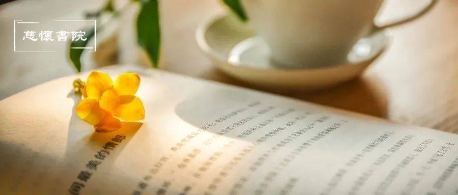往后余生,静而不争缘分