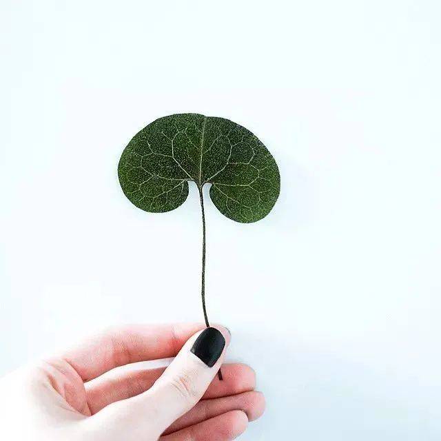 高情商的十种表现亨得利
