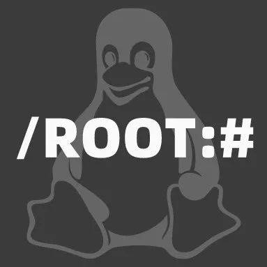 Linux 系统中的 root 用户管理_su