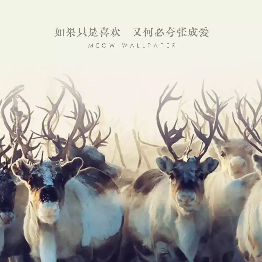 朋友圈负能量爆棚的经典语录，现实又很扎心的句子才又