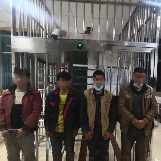 一团伙流窜宣威多个乡镇盗窃被抓！魔芋