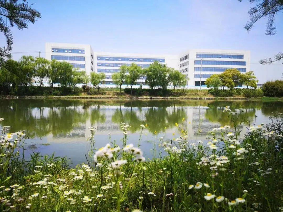 招聘 | 上海积塔半导体有限公司_岗位