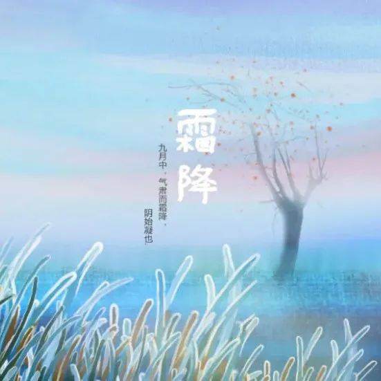 今日霜降 人间霜花白,从容向寒迈大地
